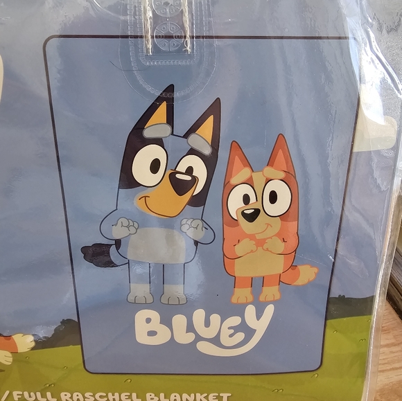 Disney | Bedding | Bluey Raschel Blanket | Poshmark